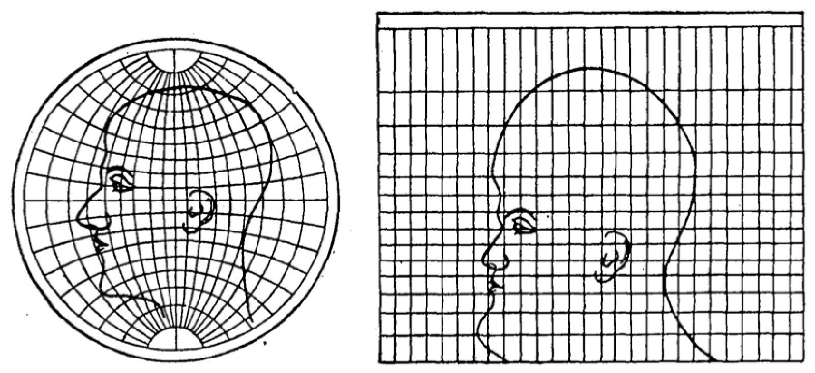 顔でわかる地図投影のゆがみ：Projection Face